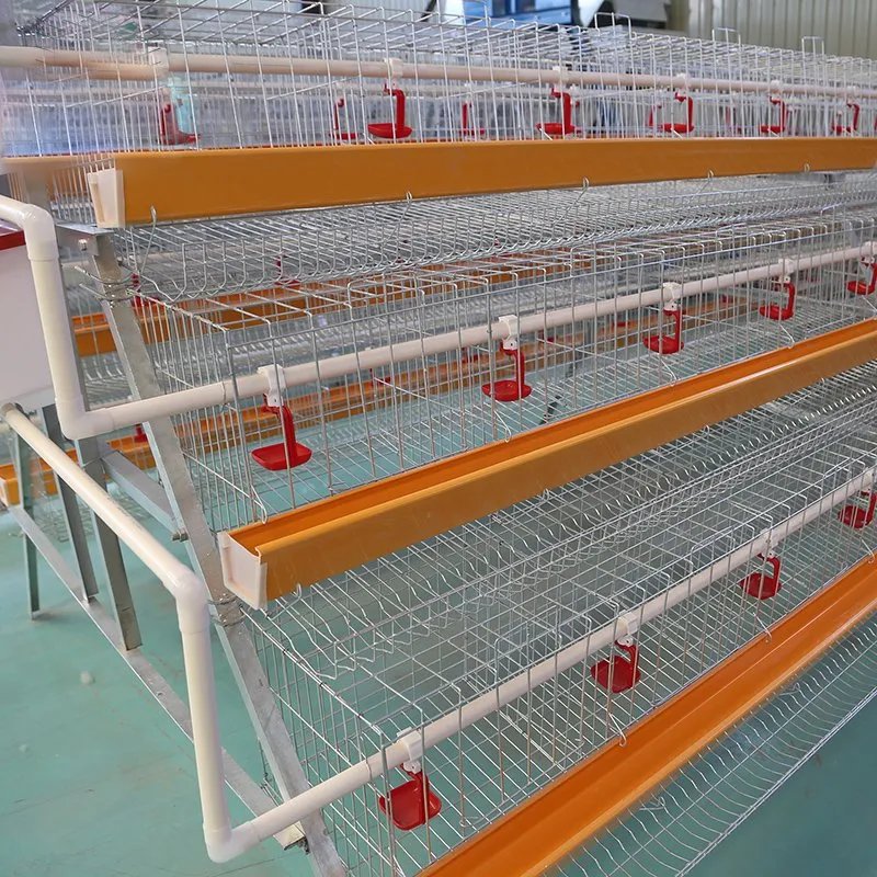 A type 3tier (96 birds) – Lari Poultry Farm